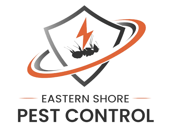 Pest Control Hobart - Eastern Shore Pest Control